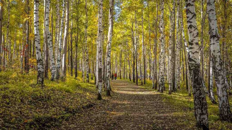 20 Hidden Facts About Russia You Definitely Not Aware Of - HimalayanCrest