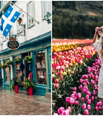 Home - HimalayanCrest